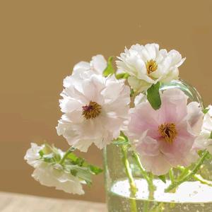 ddddf的抖音 - 抖音