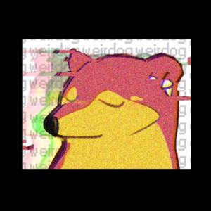 Weirdog_怪狗的抖音 - 抖音