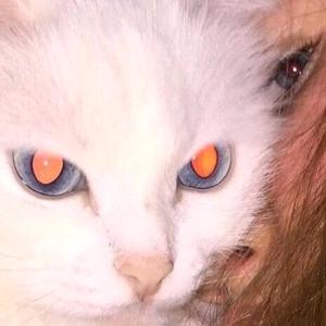 JJhhhh-的抖音 - 抖音