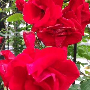 yyyttt的抖音 - 抖音