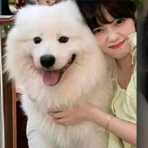 yyyyyyyyyyyyy的主页 - 抖音