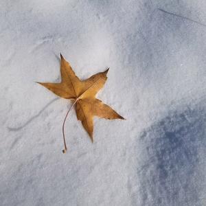 jjjggg的抖音 - 抖音