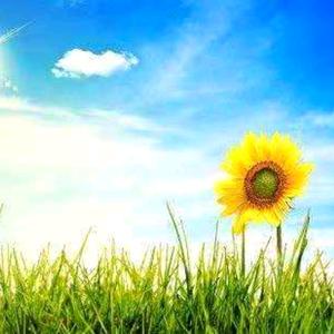 qweq的抖音 - 抖音