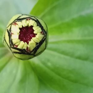 mnbhjk的抖音 - 抖音