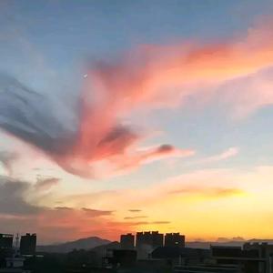 Hhhhggg的抖音 - 抖音