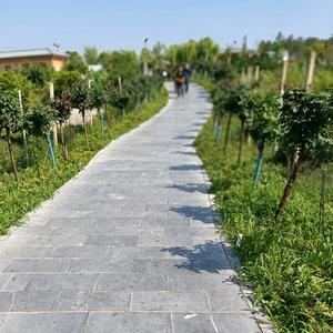 ZyQ的抖音 - 抖音