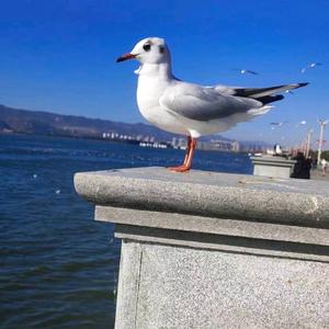 @xiao hui的抖音 - 抖音