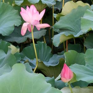 gffffff的抖音 - 抖音