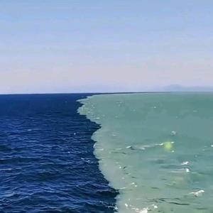 mkmkmk的抖音 - 抖音