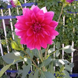 125386的抖音 - 抖音