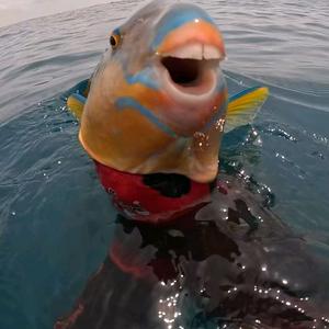 hhhhjjj的抖音 - 抖音