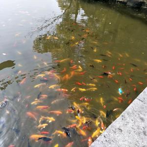 ghjkk的抖音 - 抖音