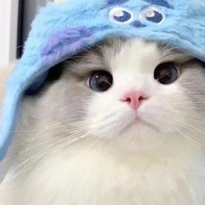 tyhg的抖音 - 抖音