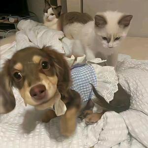 Tttty.的抖音 - 抖音