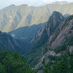 桂花飘香的抖音 - 抖音