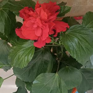 kkkkll的抖音 - 抖音