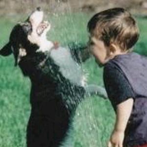 Rrrrrr_Liu的抖音 - 抖音