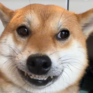 PPppppppppppppppppp的抖音 - 抖音