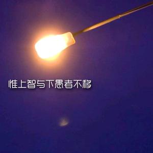 宋冬冬的抖音 - 抖音
