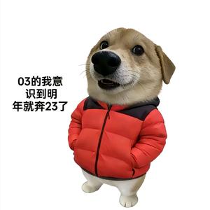 王璺昊的抖音 - 抖音