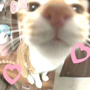 Hjhhh.的抖音 - 抖音