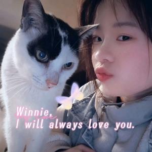 🐱小臻宝(悲伤版)💔💔的抖音 - 抖音