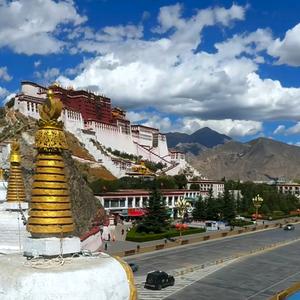 jhgfg的抖音 - 抖音