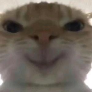 7891的抖音 - 抖音