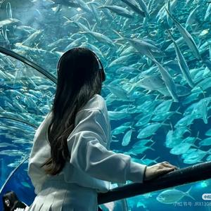 曲奇🍪的抖音 - 抖音