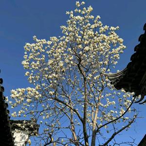 ggghhhhh的抖音 - 抖音