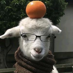 俞木0o的抖音 - 抖音