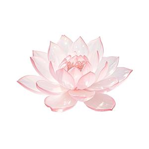 jjjjjj的抖音 - 抖音