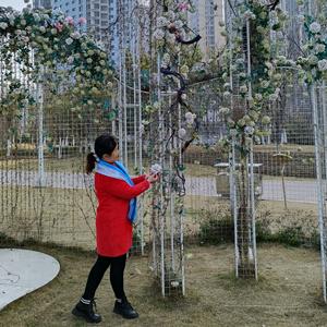 用户7106384997391的抖音 - 抖音