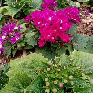 gggghh的抖音 - 抖音