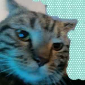 DDDDDX的键盘的抖音 - 抖音