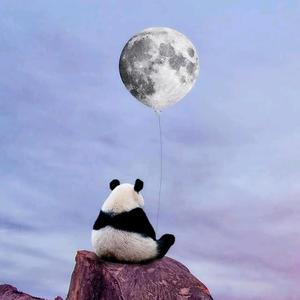 •枫的抖音 - 抖音