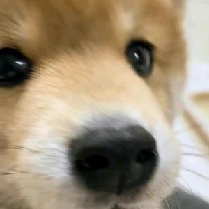 YYYYY的抖音 - 抖音