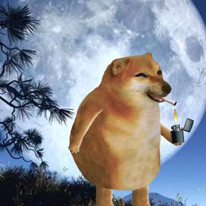 cheems诠释的抖音 - 抖音