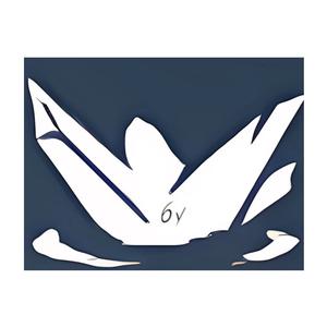 6y的抖音 - 抖音