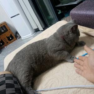 ang le的抖音 - 抖音