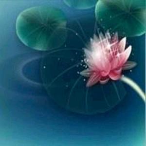 ZXVV的抖音 - 抖音