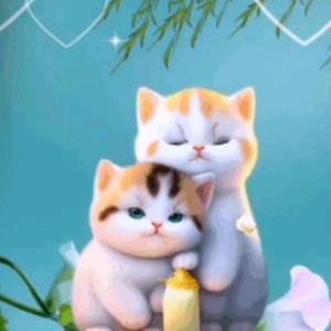 王科芹的抖音 - 抖音