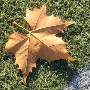 nuodi的抖音 - 抖音