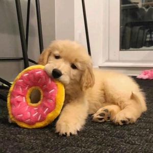 wqqw(恩师斩虎)的主页 - 抖音