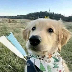 KIXN🏸的抖音 - 抖音