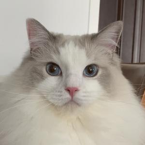 Lil-ran的抖音 - 抖音