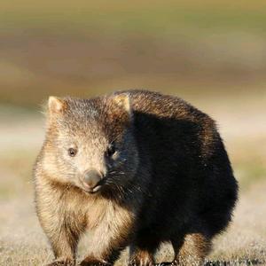 Lllllll的抖音 - 抖音